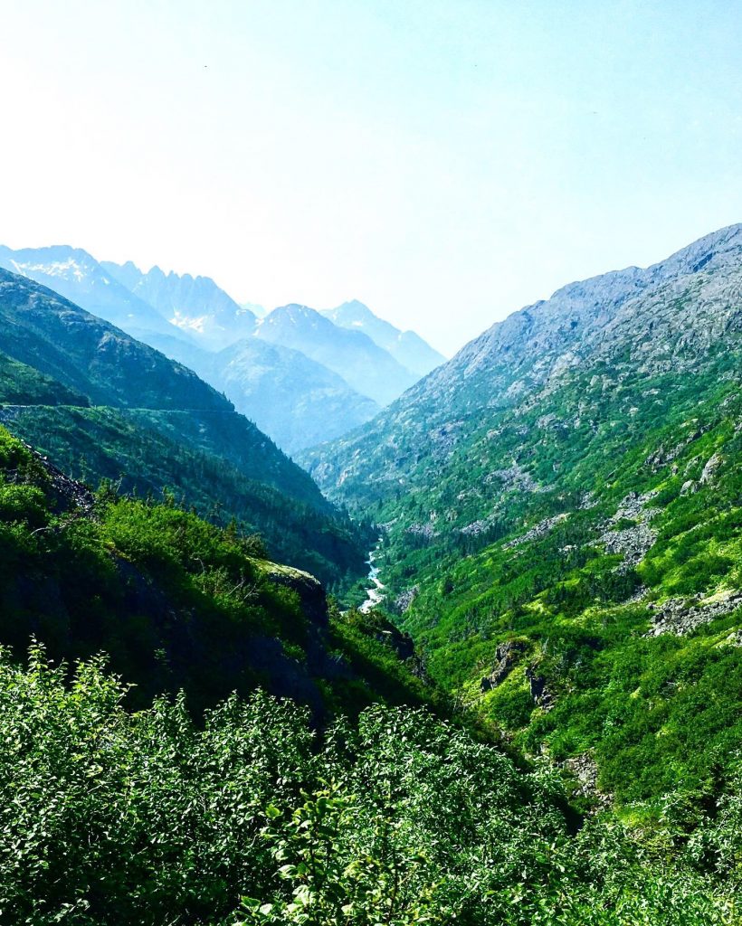 Seven Day Alaska Cruise - City to Nature